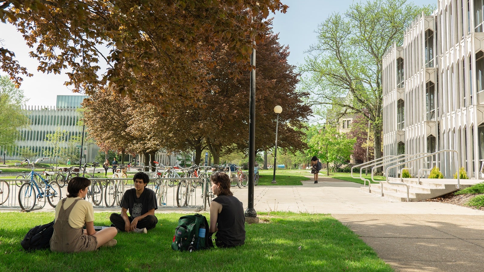 Reason #38 – Financial Economics Major | Oberlin College and Conservatory