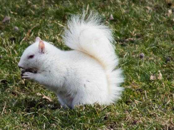 Office of Advancement | Oberlin College and Conservatory