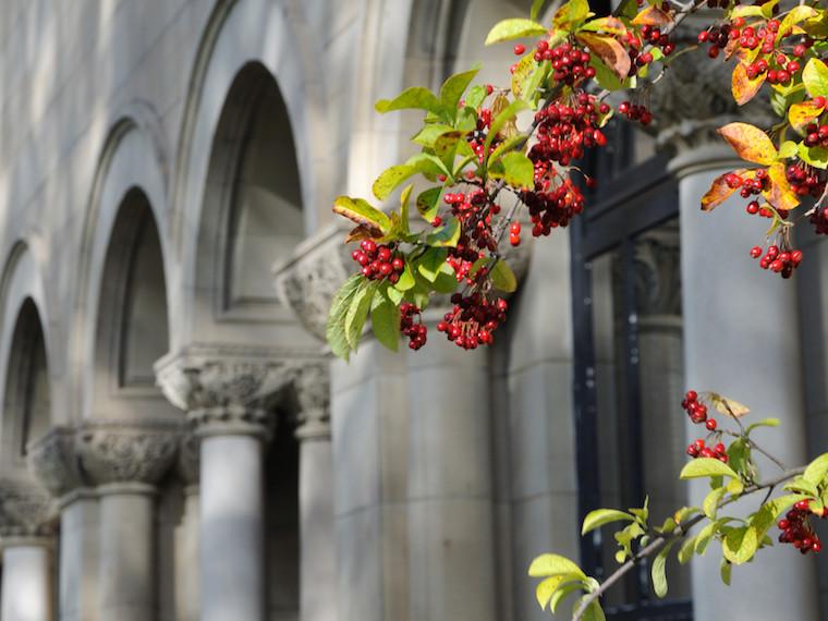 Leadership & Administration | Oberlin College and Conservatory